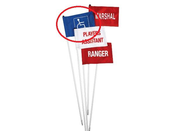 Cart identification flag DISABLED (SG09802)